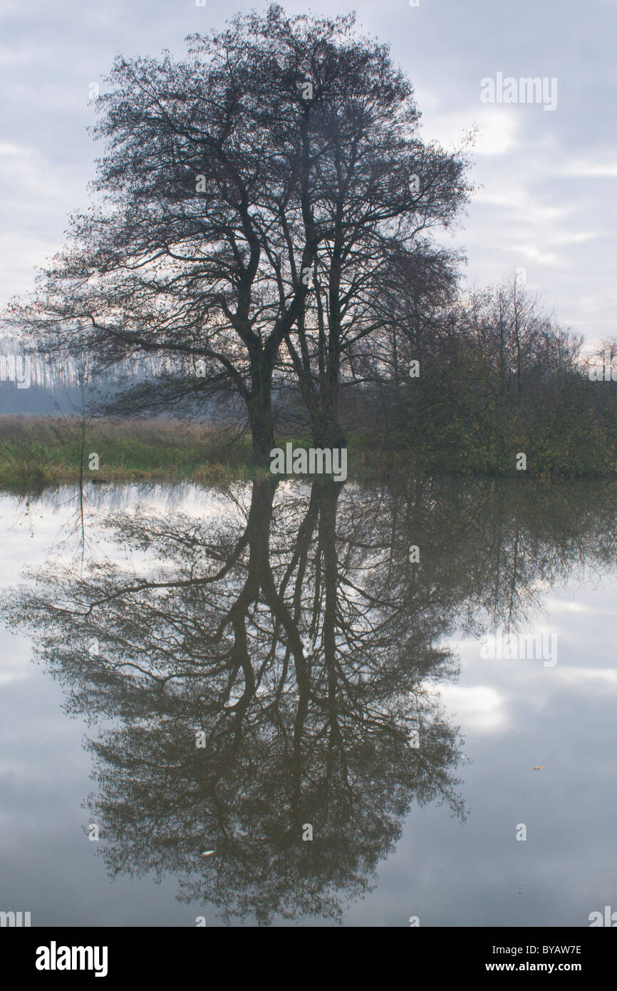 Ems river hi-res stock photography and images - Alamy