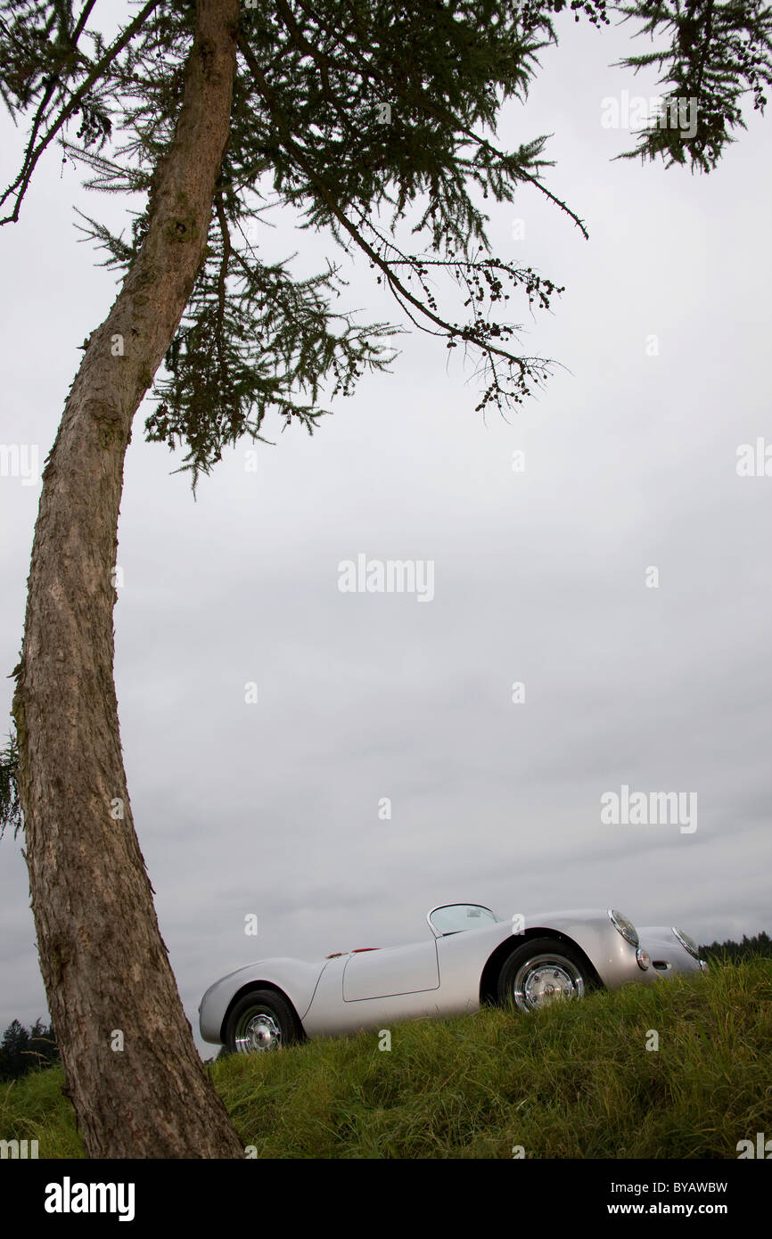 Vintage car under a tree, white Porsche Spyder Stock Photo - Alamy