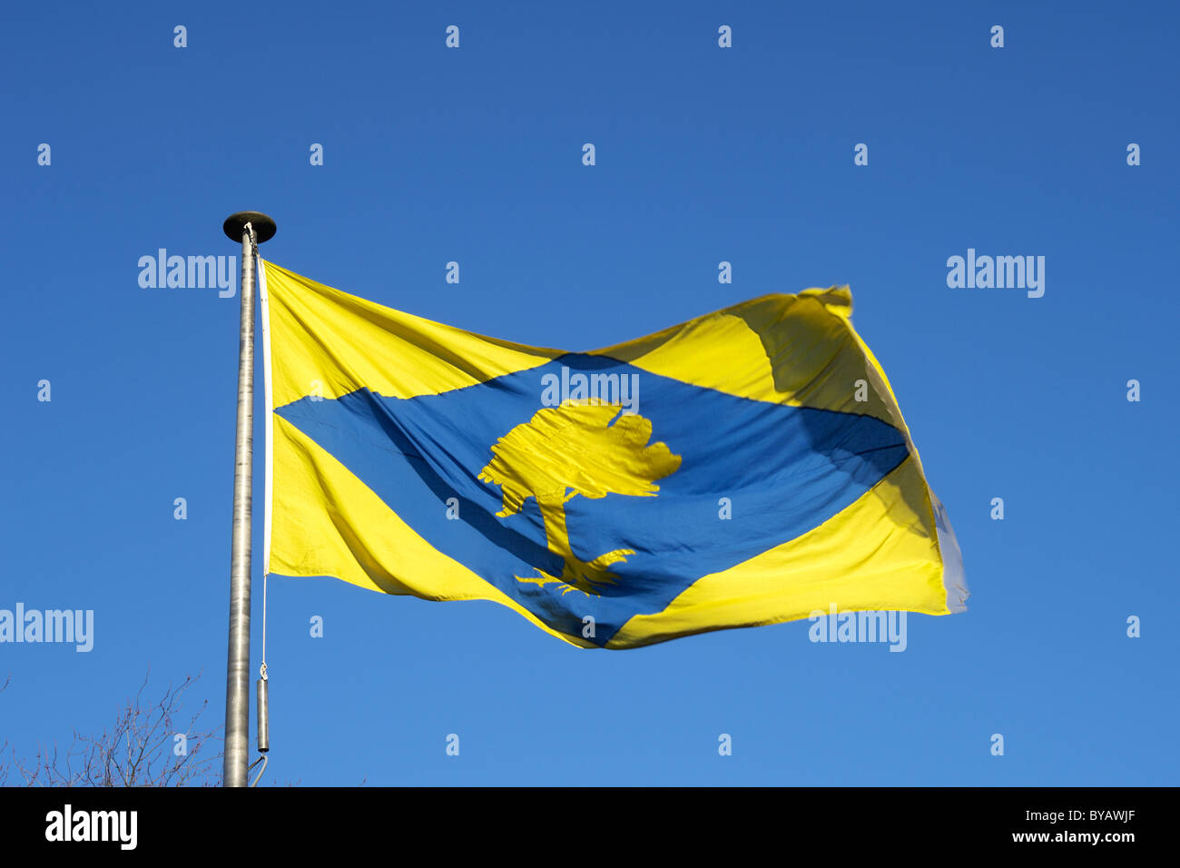 Gedling Borough Council, flag, flying from flagpole on bule sky Stock ...