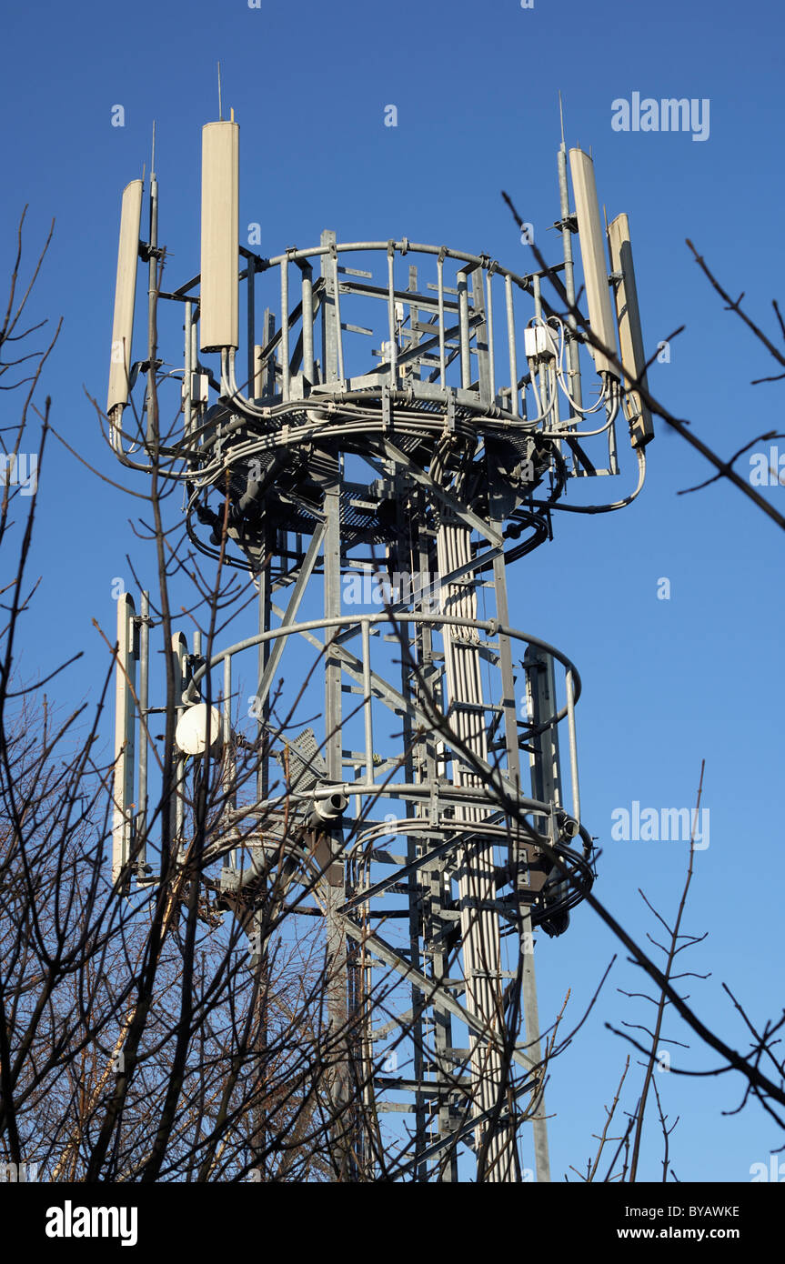 Mobile phone mast amongst tree branches against blue sky Stock Photo ...