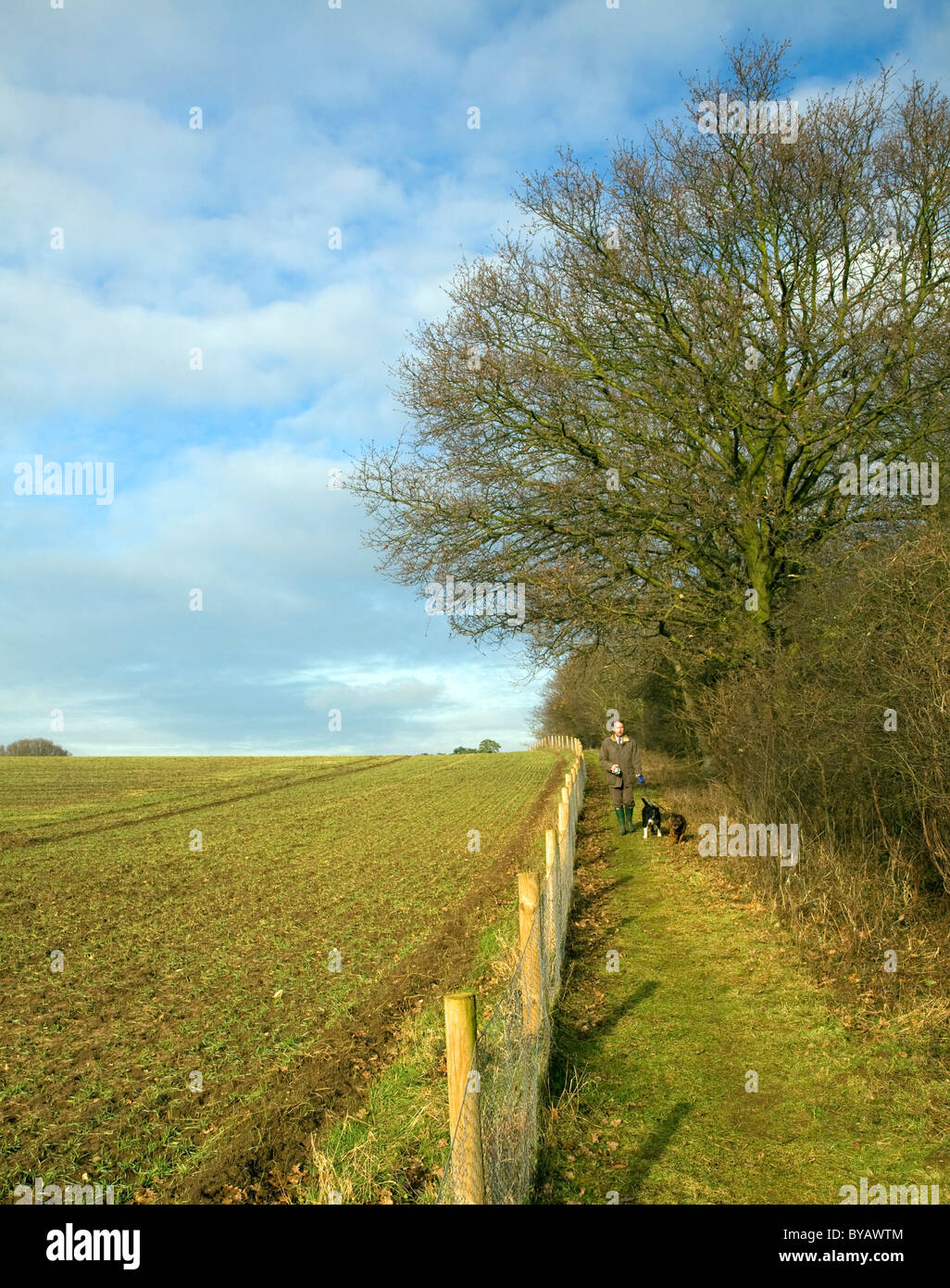 Fields and fence hi-res stock photography and images - Alamy