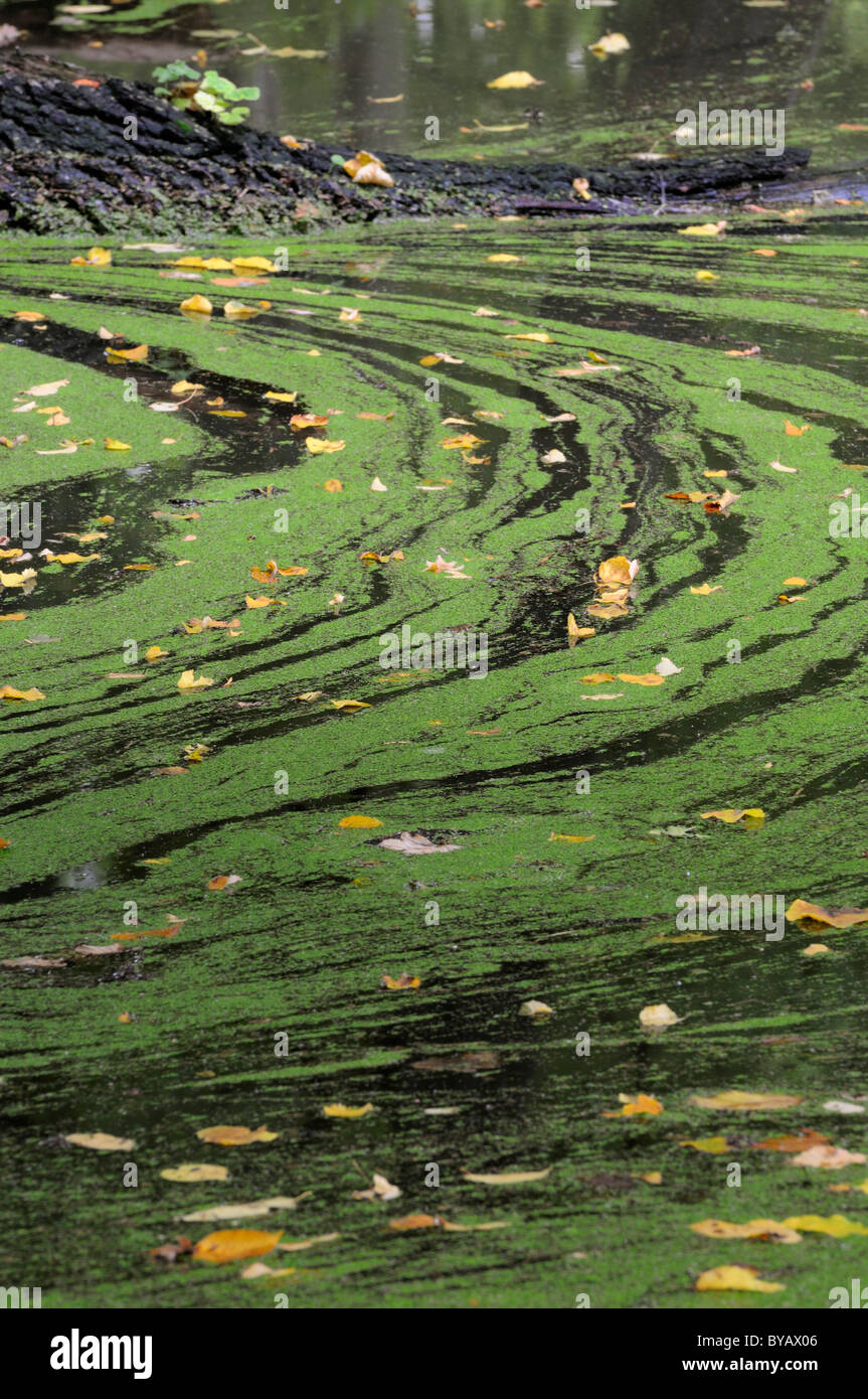 Alluvial water hi-res stock photography and images - Alamy