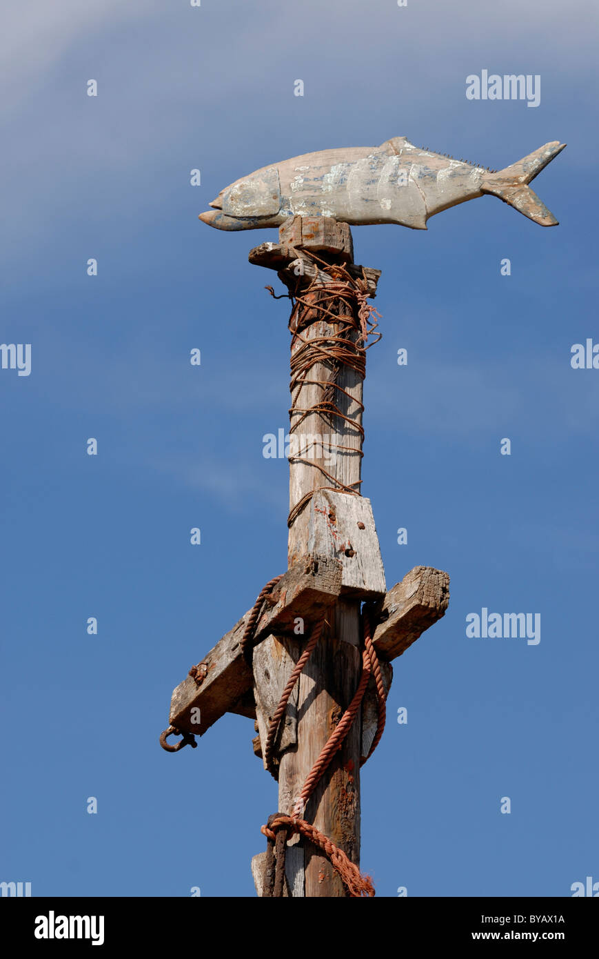 Pole fish hi-res stock photography and images - Alamy