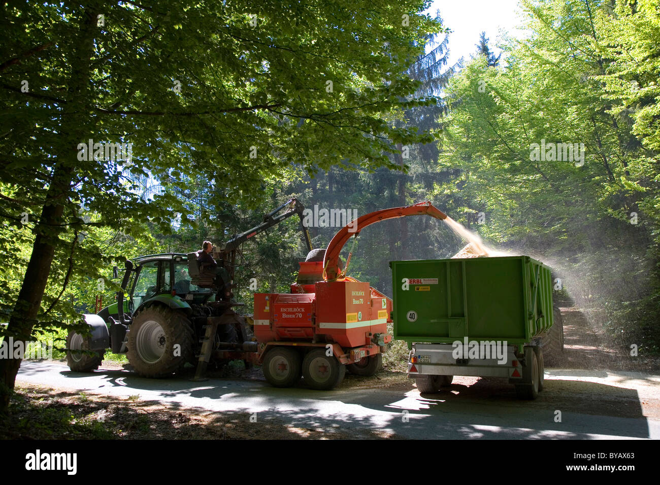 Fuelwood hi-res stock photography and images - Alamy