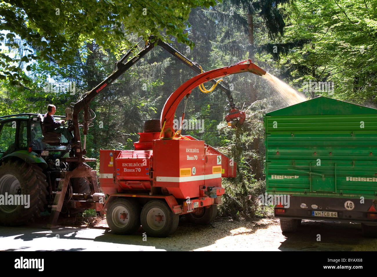 Fuelwood collection, shredding fuelwood, shredding company at work in ...