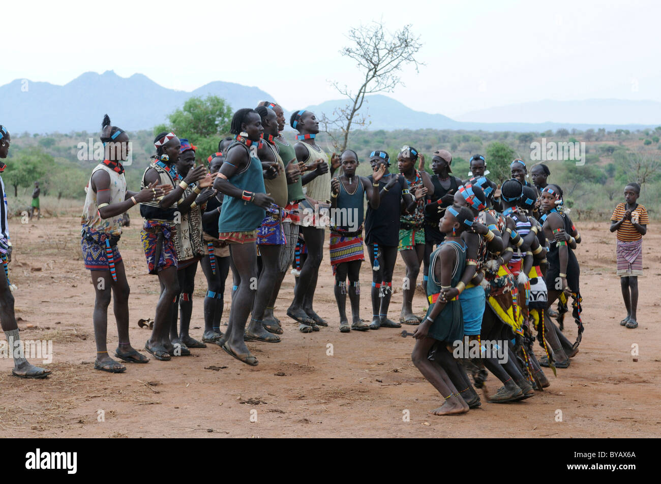 Cattle leaping ceremony hi-res stock photography and images - Alamy