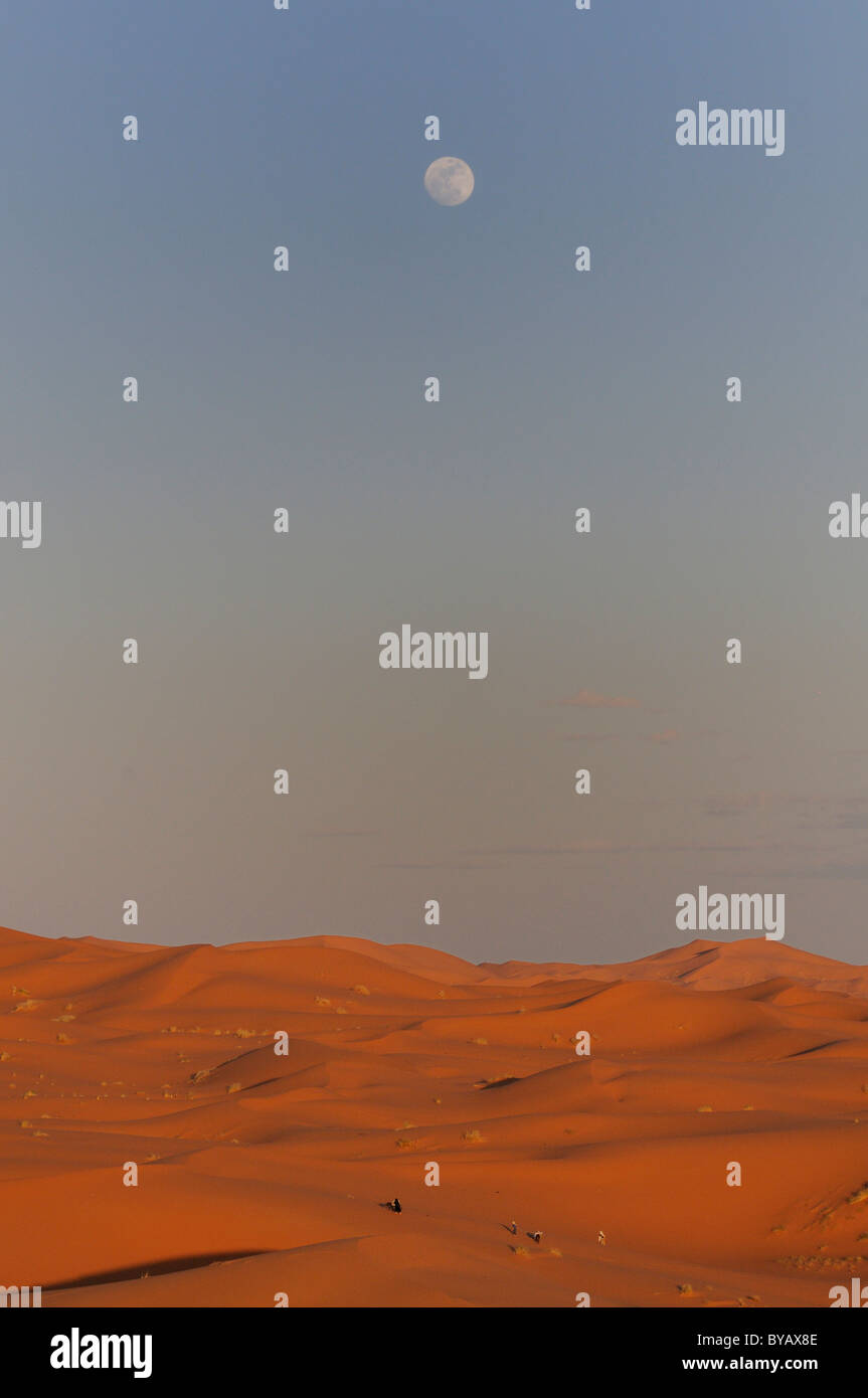 Arabian Desert Moon Stock Photos & Arabian Desert Moon Stock Images - Alamy