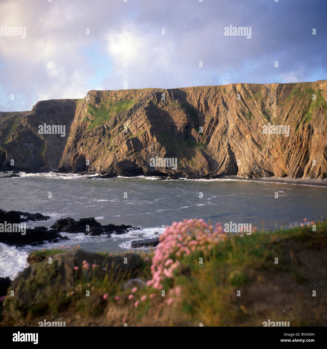 Cliffs coastal scenery Hartland Quay north Devon England Stock Photo ...