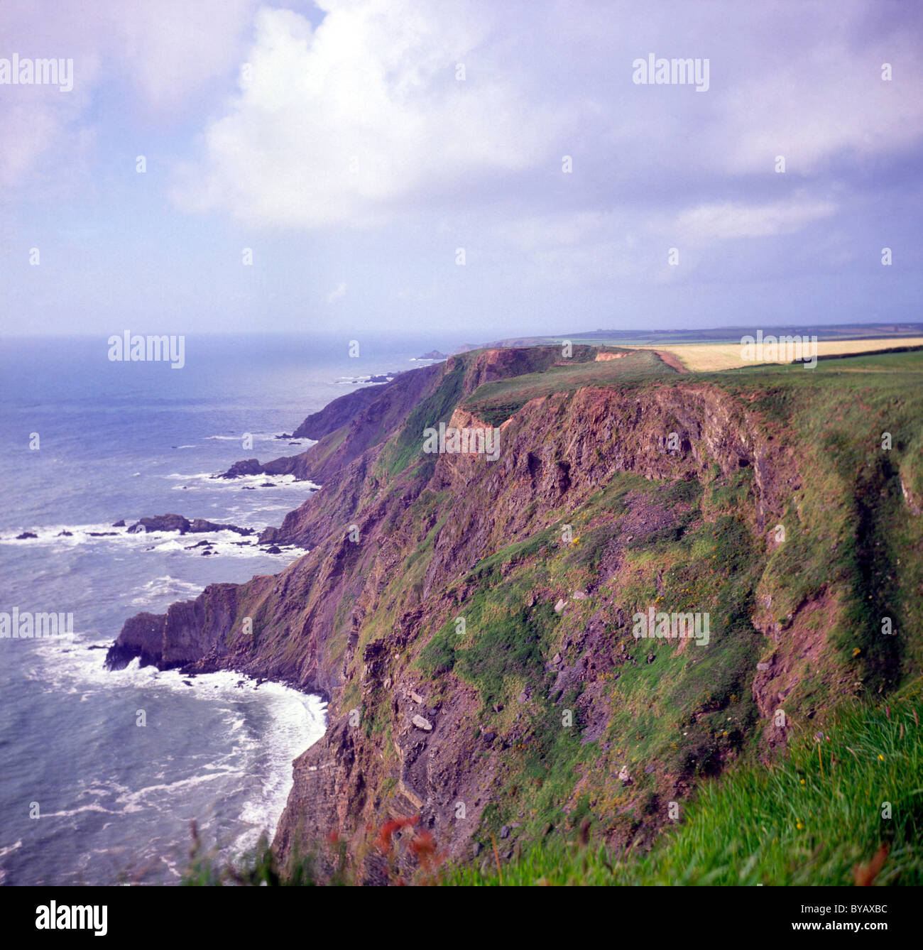 Cliffs coastal scenery Hartland Quay north Devon England Stock Photo ...