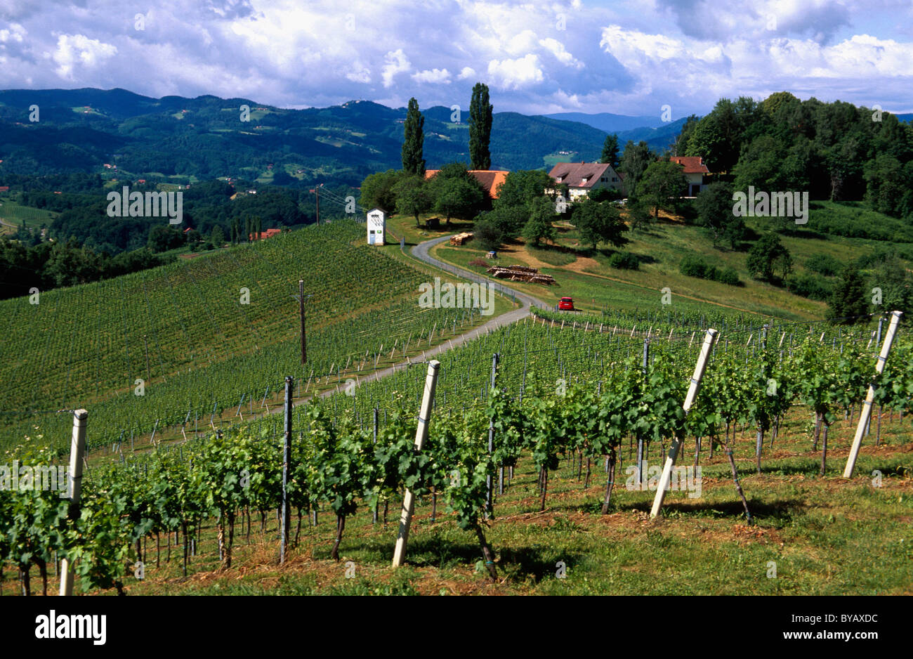 Styrian wine route hi-res stock photography and images - Alamy