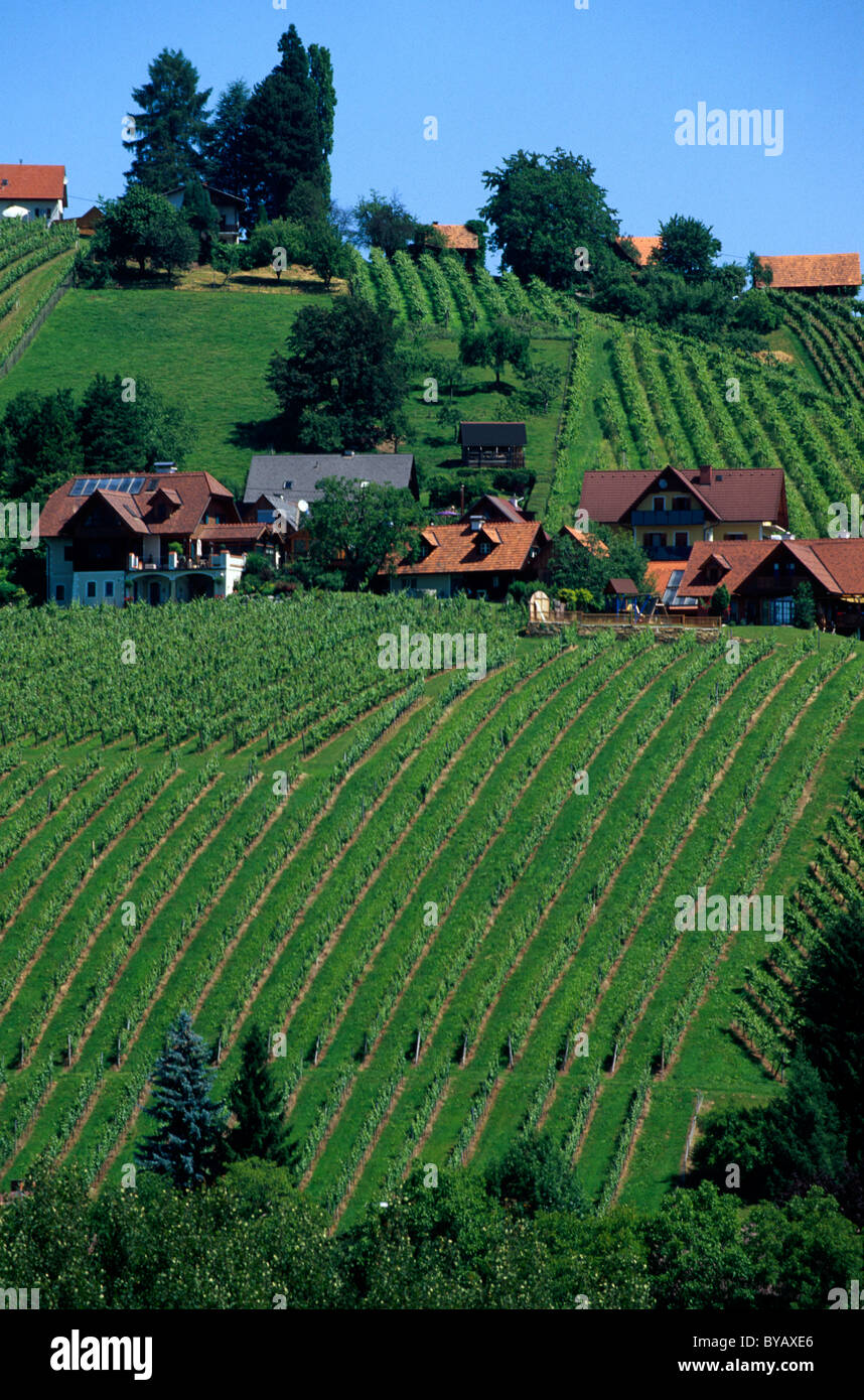 Schilcher Route of Wine, Styria, Austria Stock Photo - Alamy