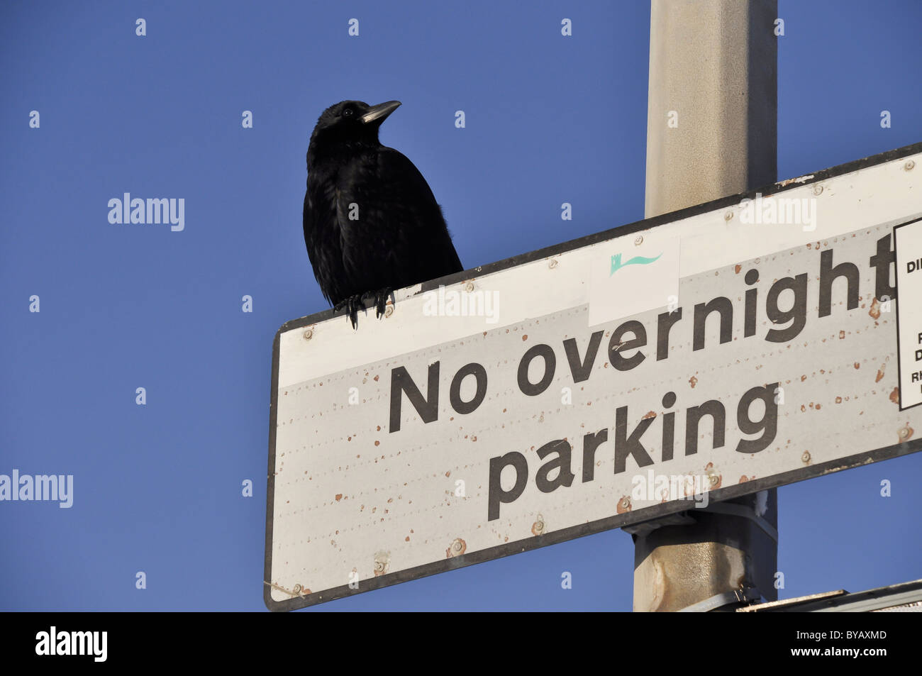 No parking overnight hi-res stock photography and images - Alamy