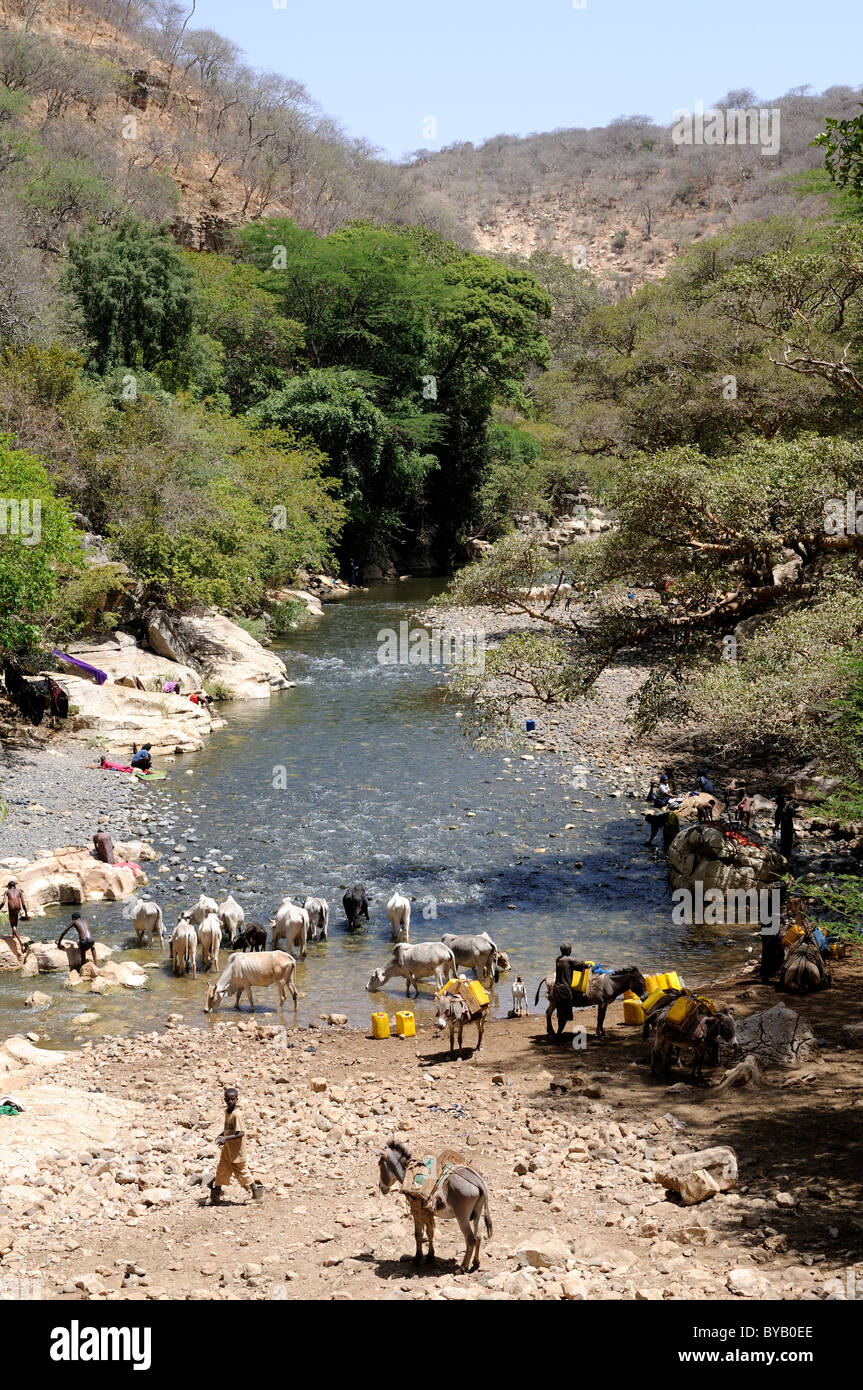 Entrance to Sof Omar, the largest cave system in Africa, Ethiopia ...