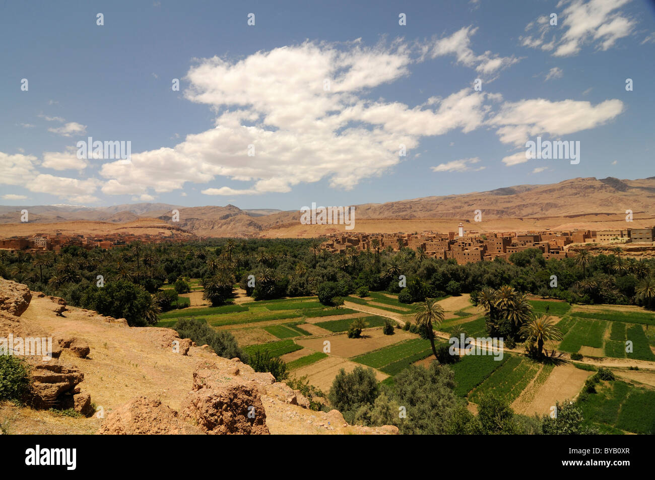 Desert village on the edge of the desert with an oasis at front ...