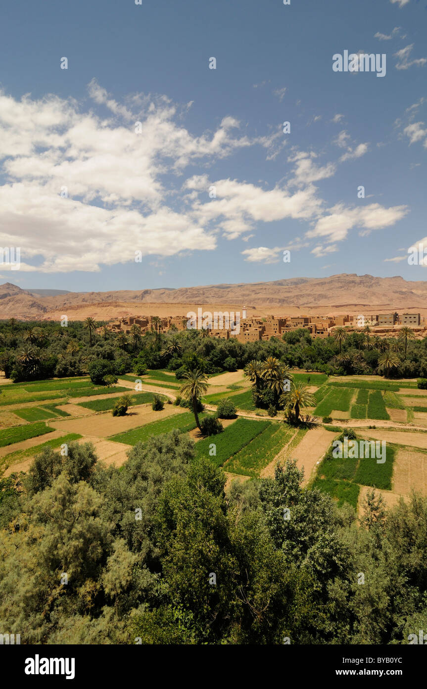 Desert village on the edge of the desert with an oasis at front ...