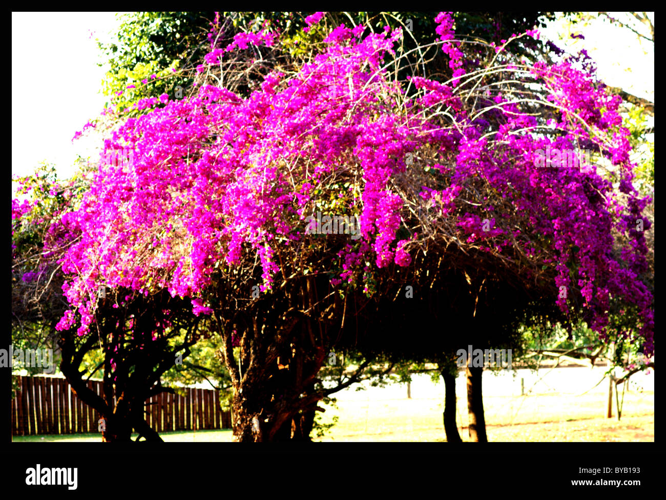 Hazyview south africa hi-res stock photography and images - Alamy