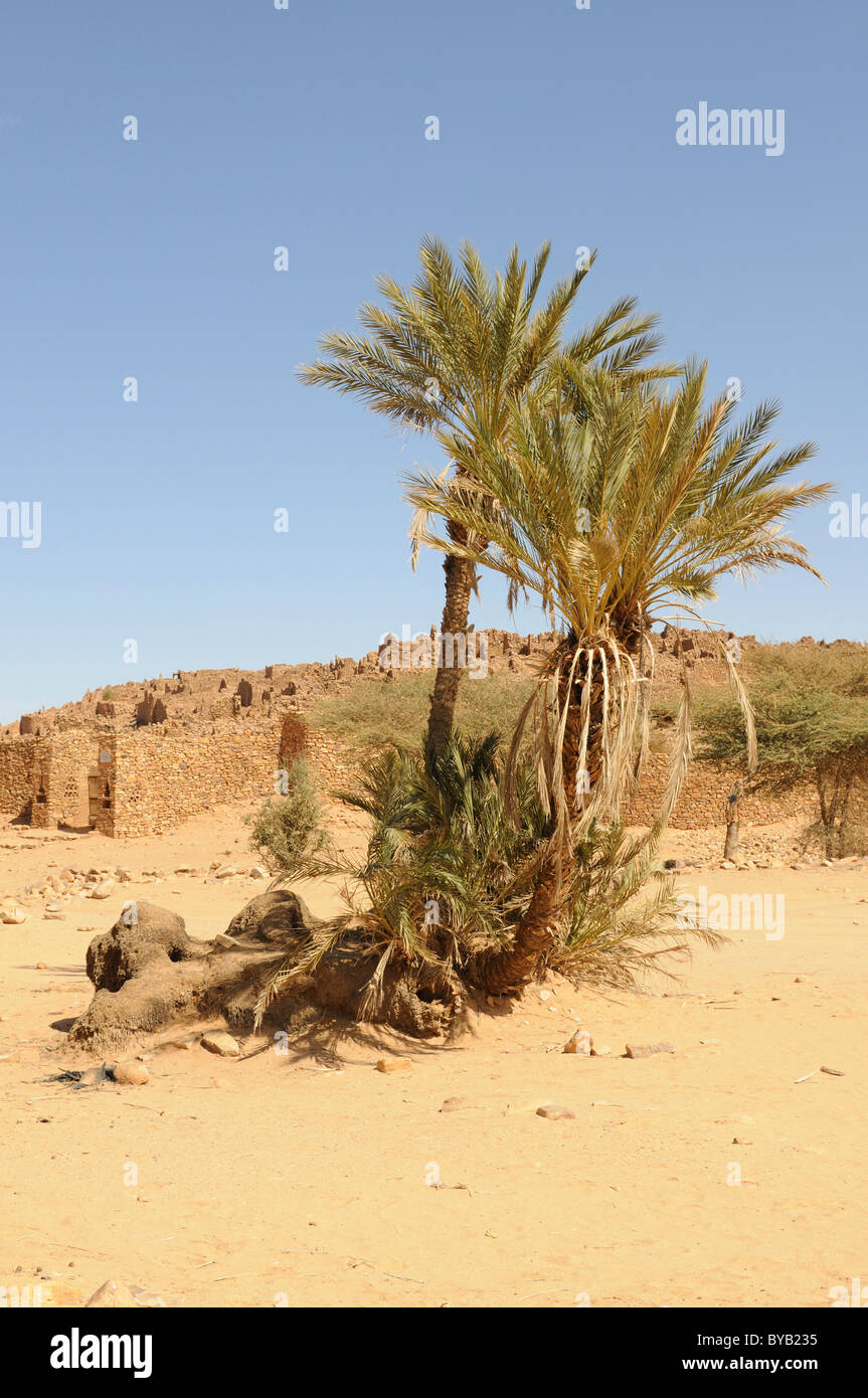 Ruins Of Ancient Ouadane High Resolution Stock Photography and Images ...
