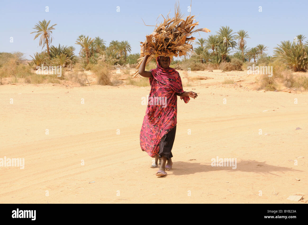 Woman carrying firewood on her head hi-res stock photography and images ...