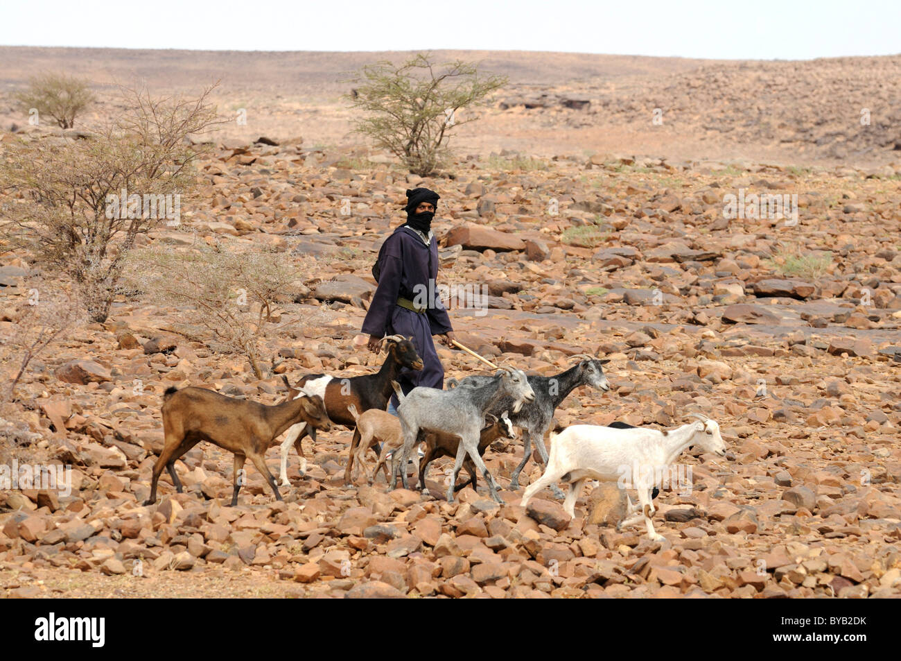 African shepherds people hi-res stock photography and images - Alamy