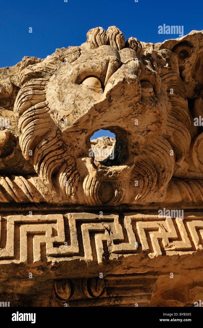 Lion gargoyle hi-res stock photography and images - Alamy