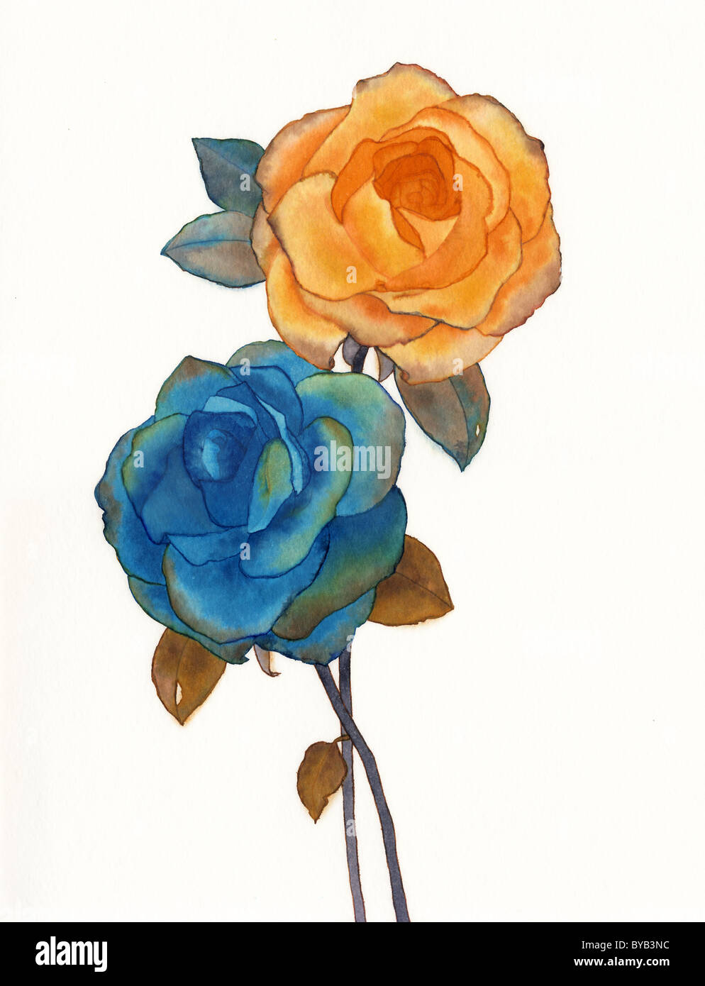 A painting of two roses Stock Photo - Alamy