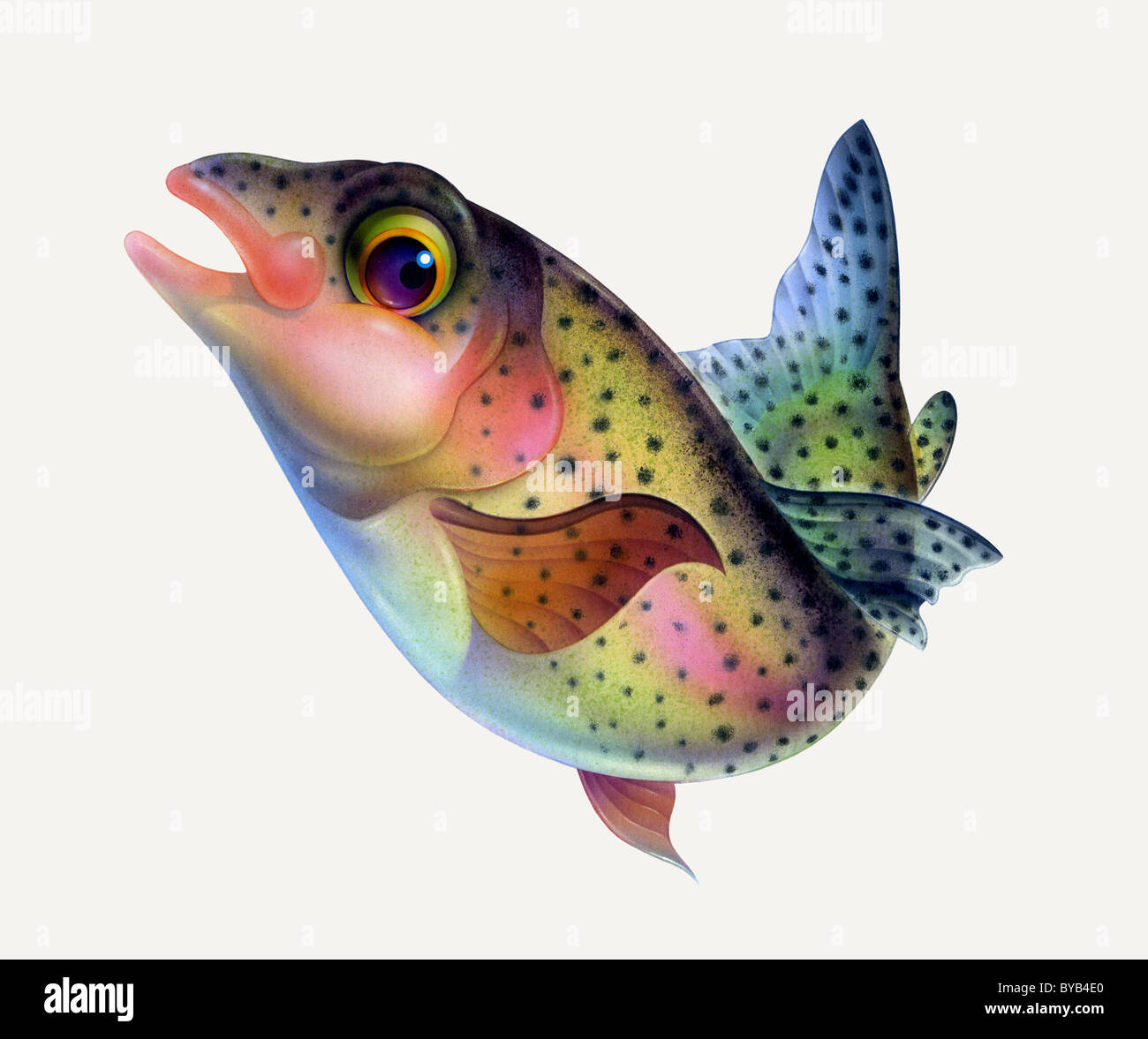 Rainbow coloured fish hi-res stock photography and images - Alamy