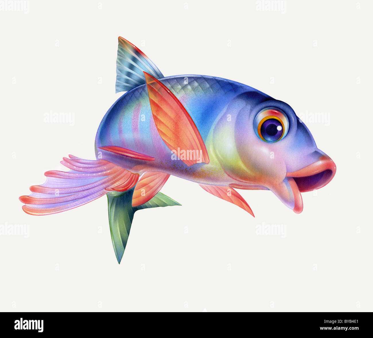Chub fish painting hi-res stock photography and images - Alamy