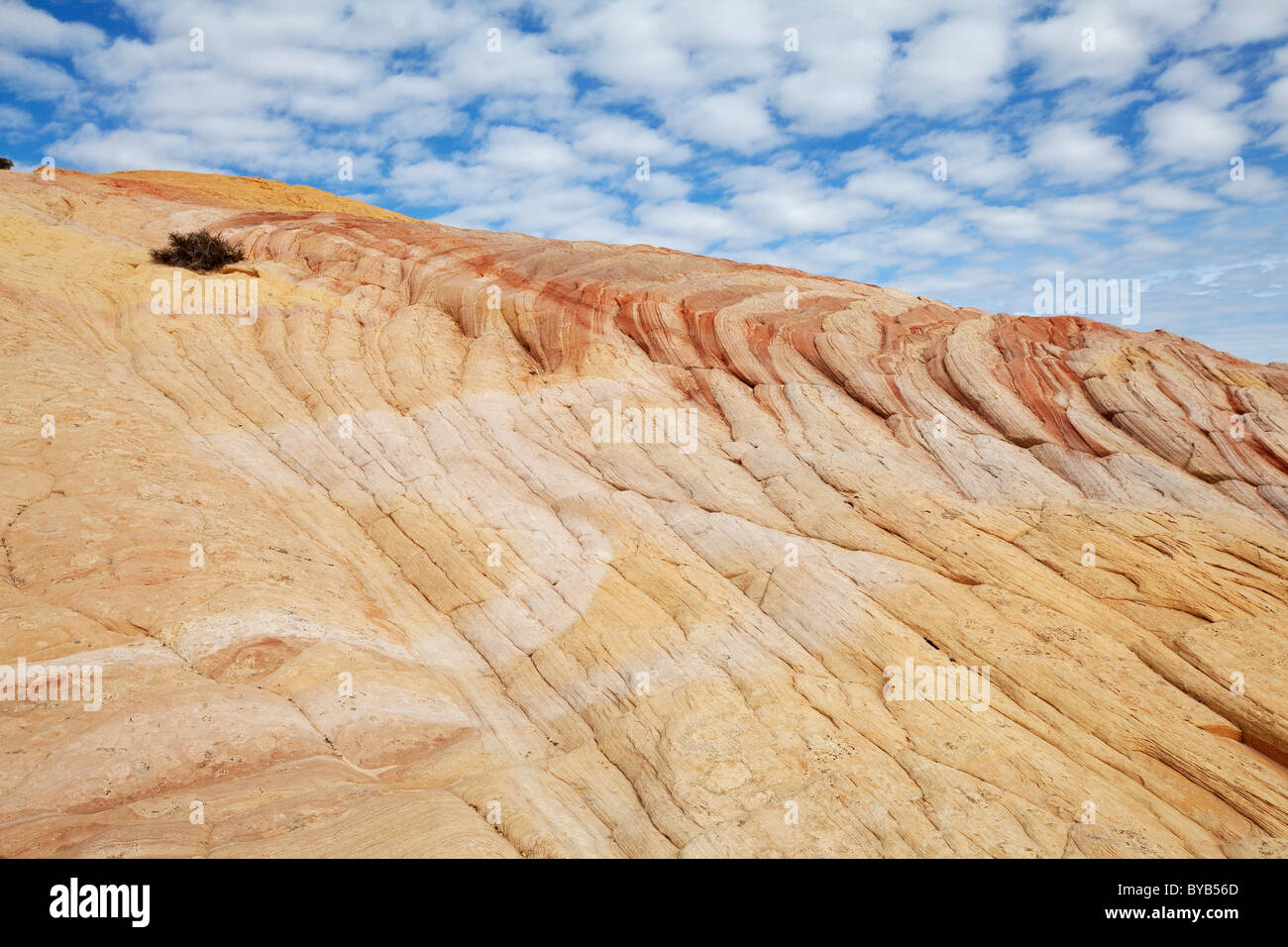 Yellow rock texture hi-res stock photography and images - Alamy