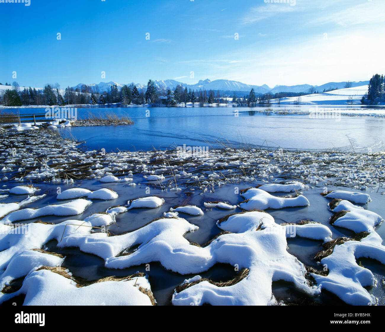 Schwaltenweiher lake, snow, Seeg, Allgaeu, Bavarian Swabia, Bavaria ...