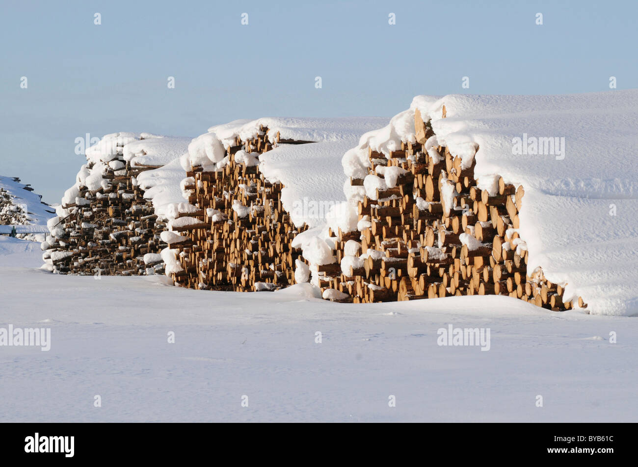 Timber in stacks, covered in snow, Ystad, Skåne, Sweden, Europe Stock ...