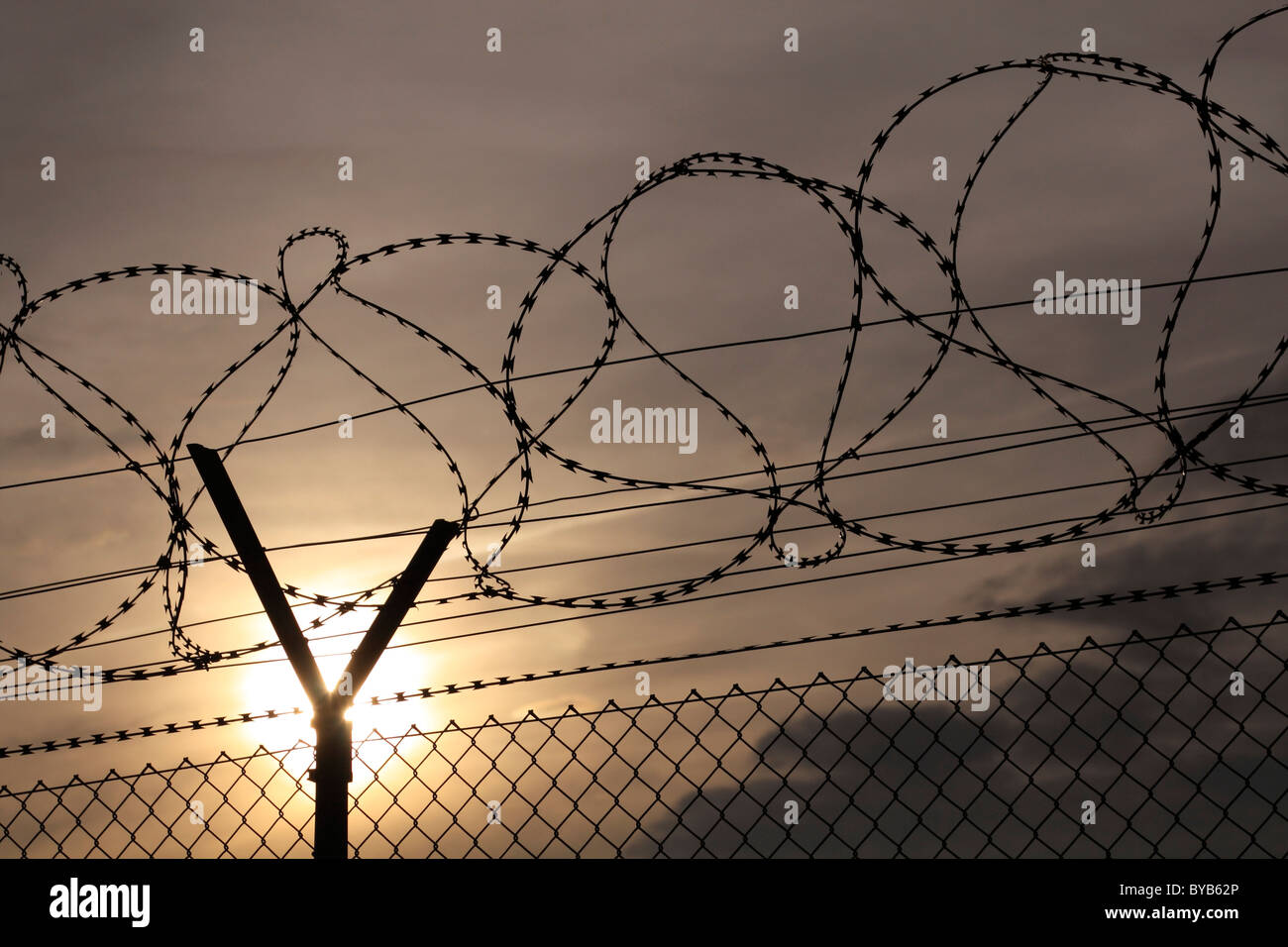 Barbed wire fence, back-lit Stock Photo - Alamy