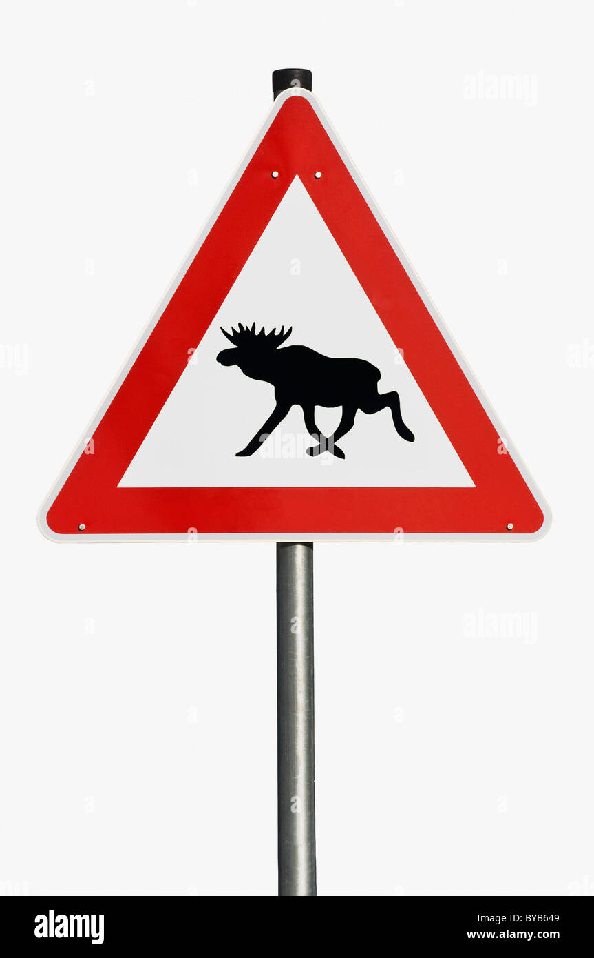 Danger sign, warning sign, moose Stock Photo - Alamy
