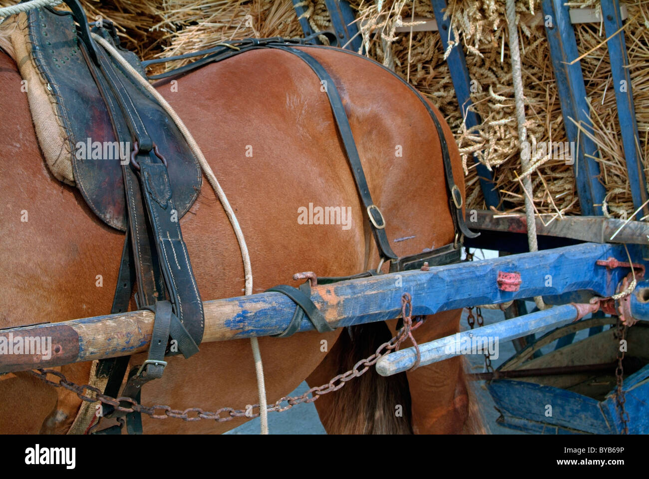 Var597 hi-res stock photography and images - Alamy