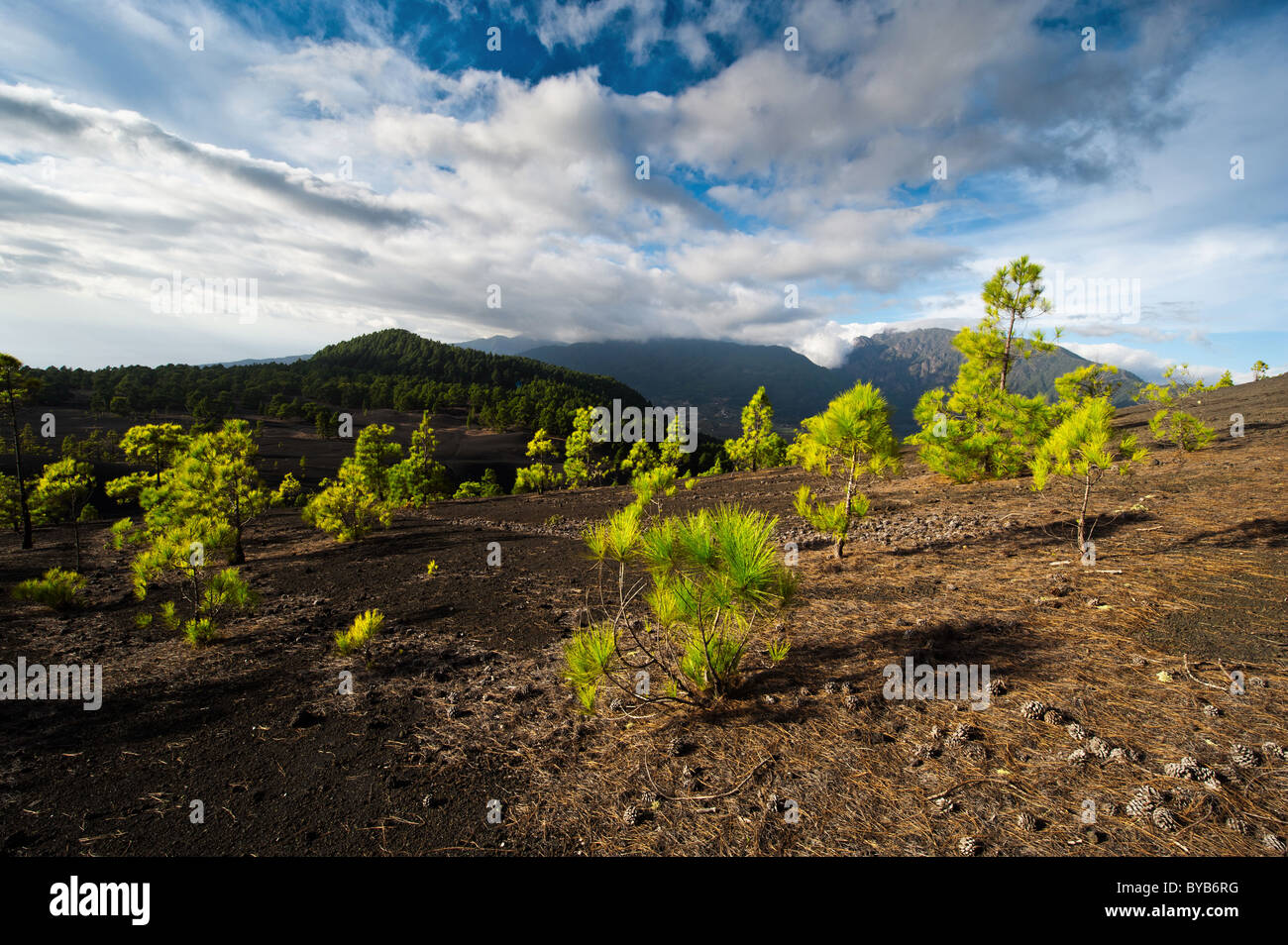 Lava landscape hi-res stock photography and images - Alamy