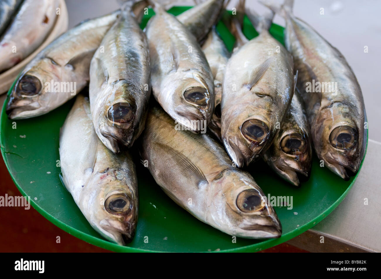 Kap verde hi-res stock photography and images - Alamy