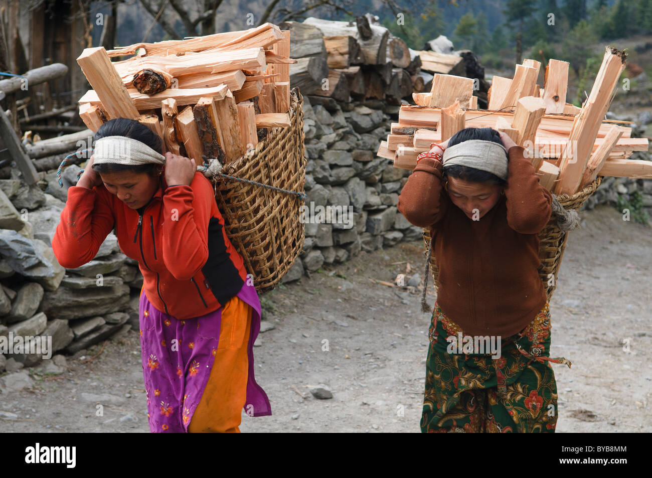 women carrying firewood in the Annapurna region of Nepal Stock Photo ...