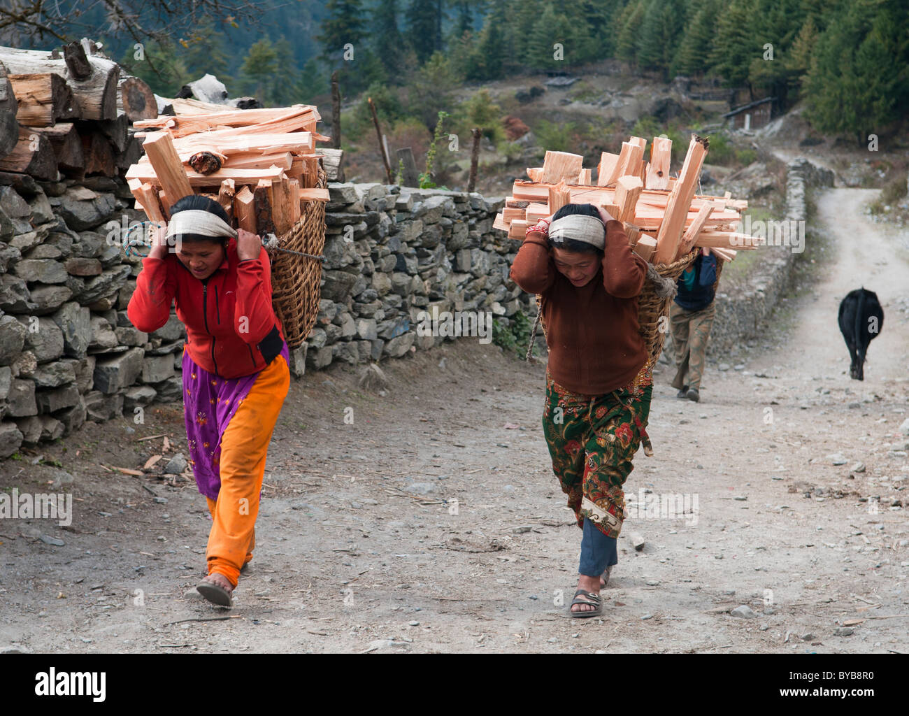 women carrying firewood in the Annapurna region of Nepal Stock Photo ...