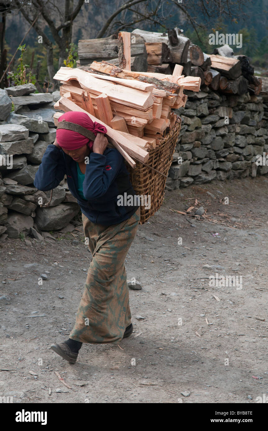 woman carrying firewood in the Annapurna region of Nepal Stock Photo ...