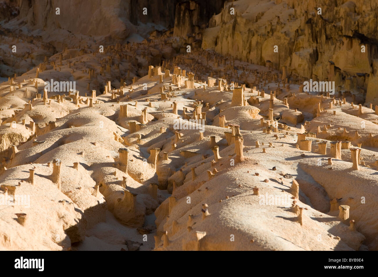 Sandstone rock formations, Tsingy, Ankarafantsika National Park ...
