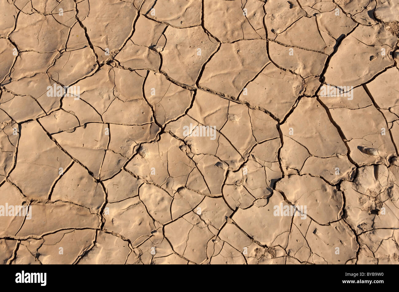 Patterns in dry, cracked soil Stock Photo - Alamy