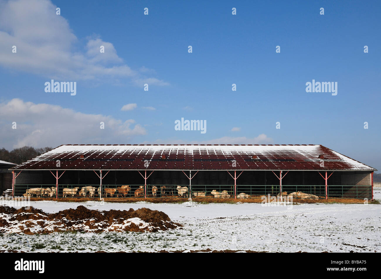 Stables open day hi-res stock photography and images - Alamy