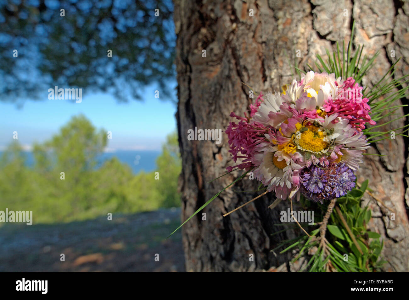 Bouquet of flowers mounted on a tree trunk Stock Photo - Alamy