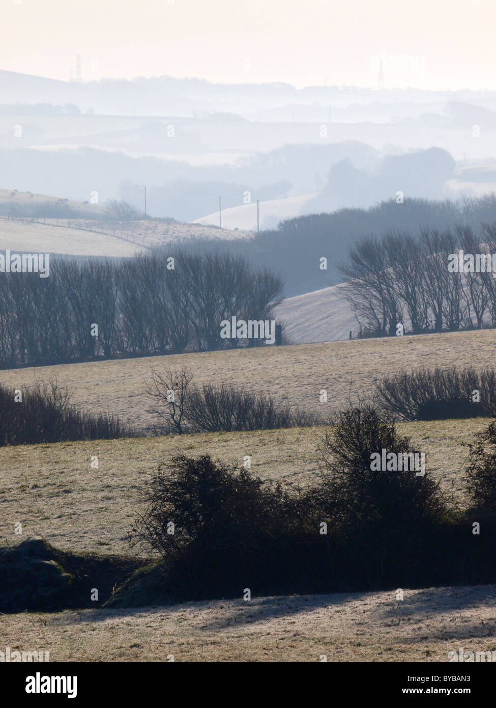 Frosty day in Cornwall, UK Stock Photo - Alamy