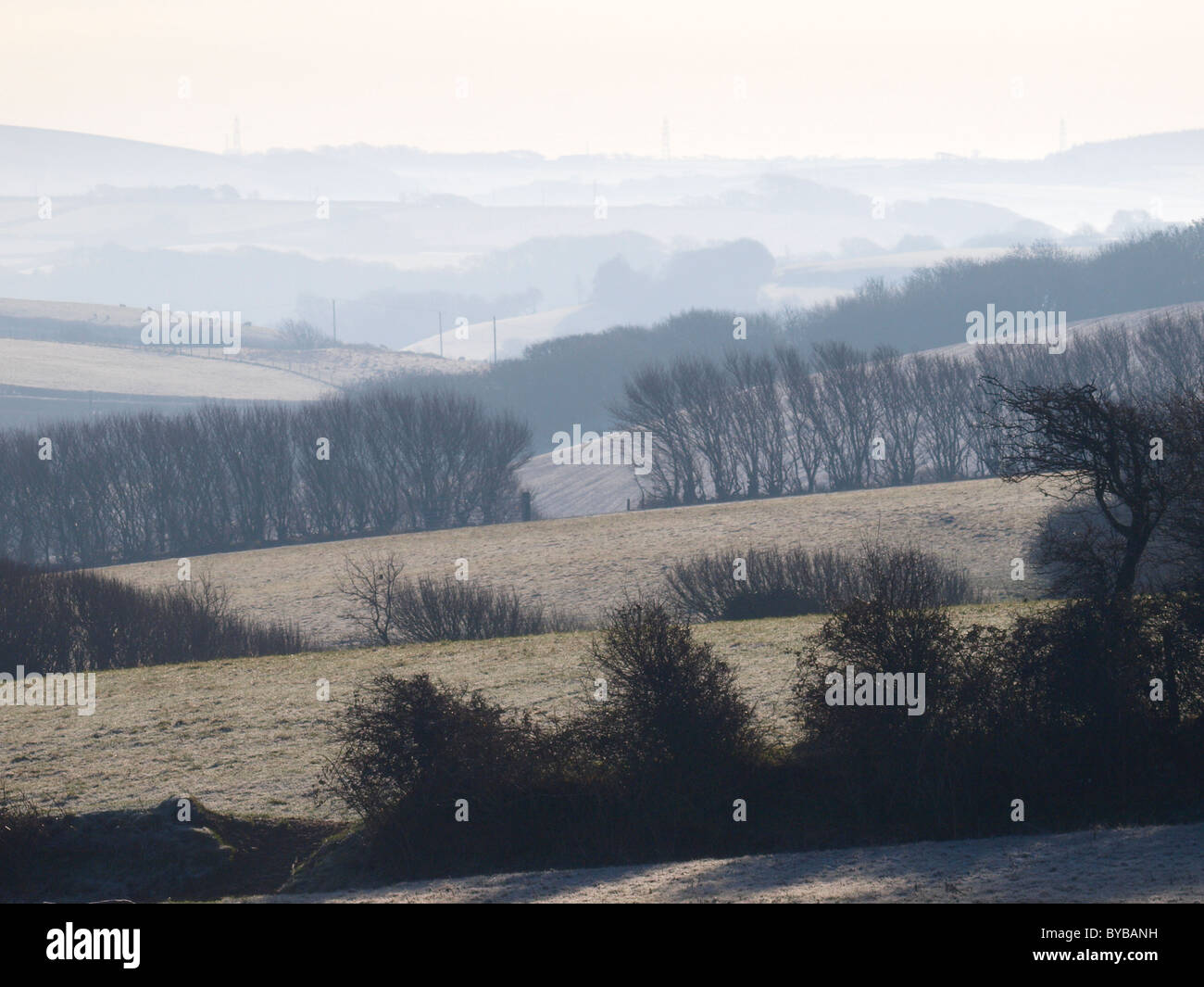 Cornwall countryside hi-res stock photography and images - Alamy