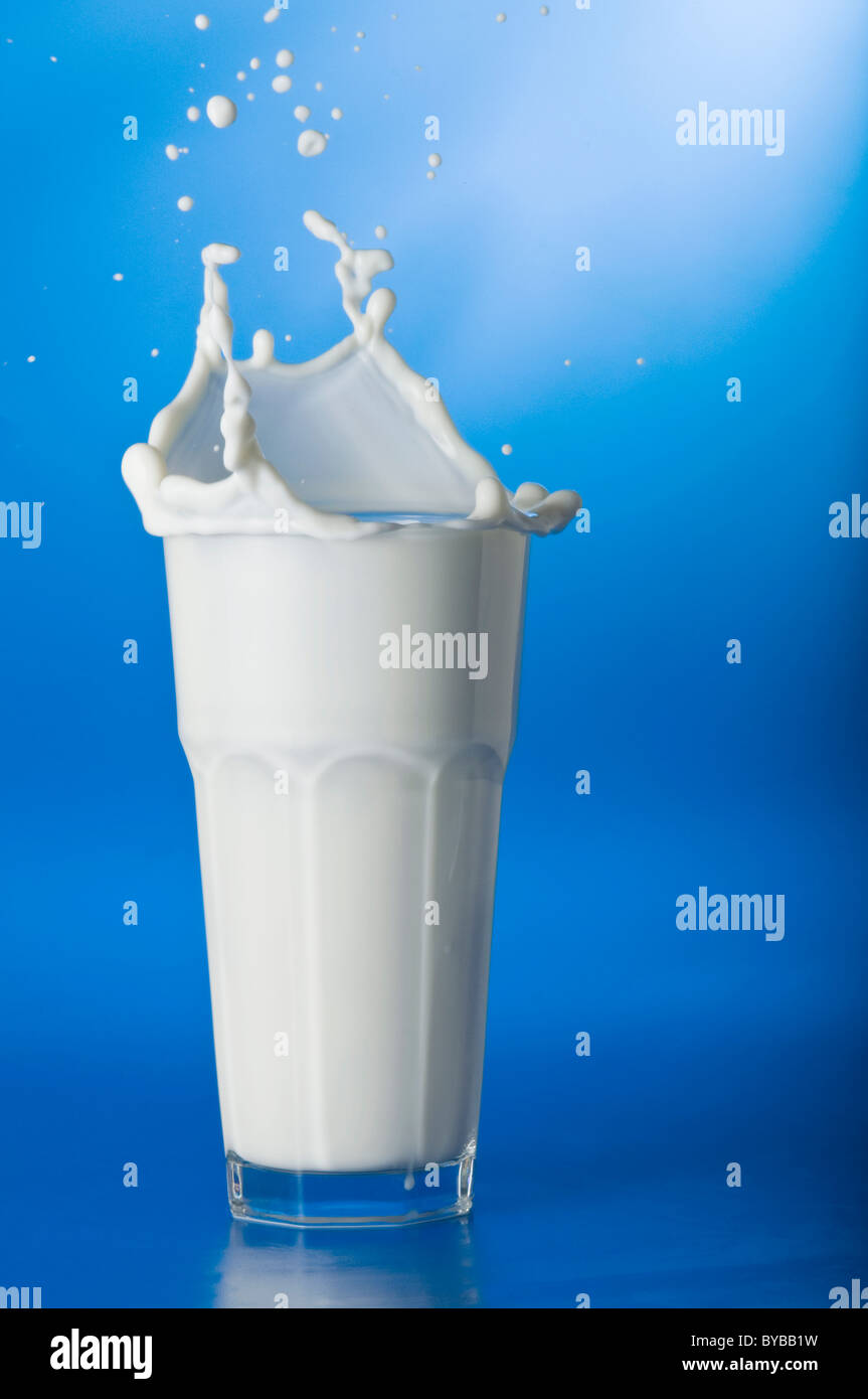 Milk splashing out of a glass over blue background Stock Photo - Alamy