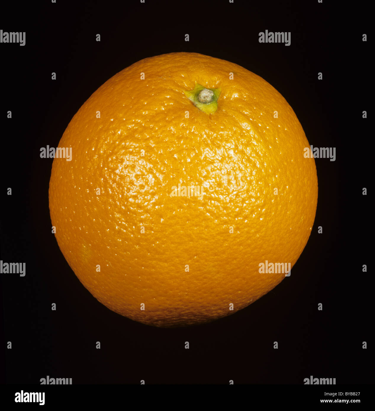 Whole orange fruit variety washington hi-res stock photography and ...