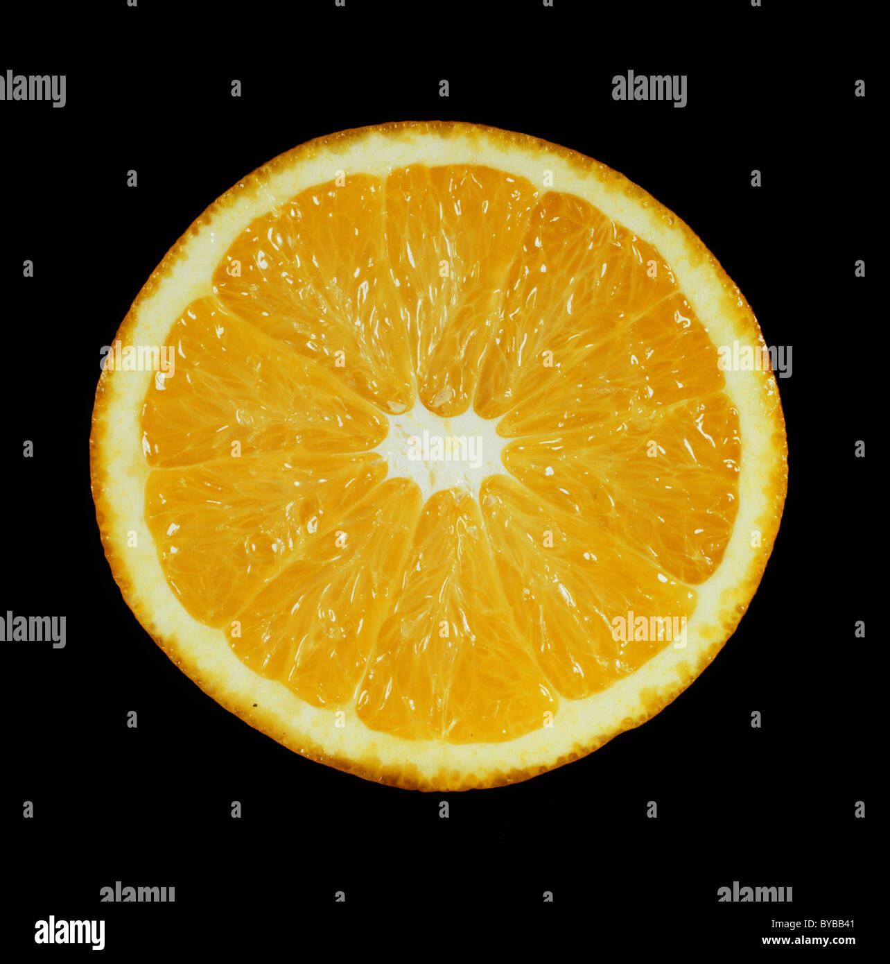 Cut section (transverse) of an orange fruit variety Washington Navel ...