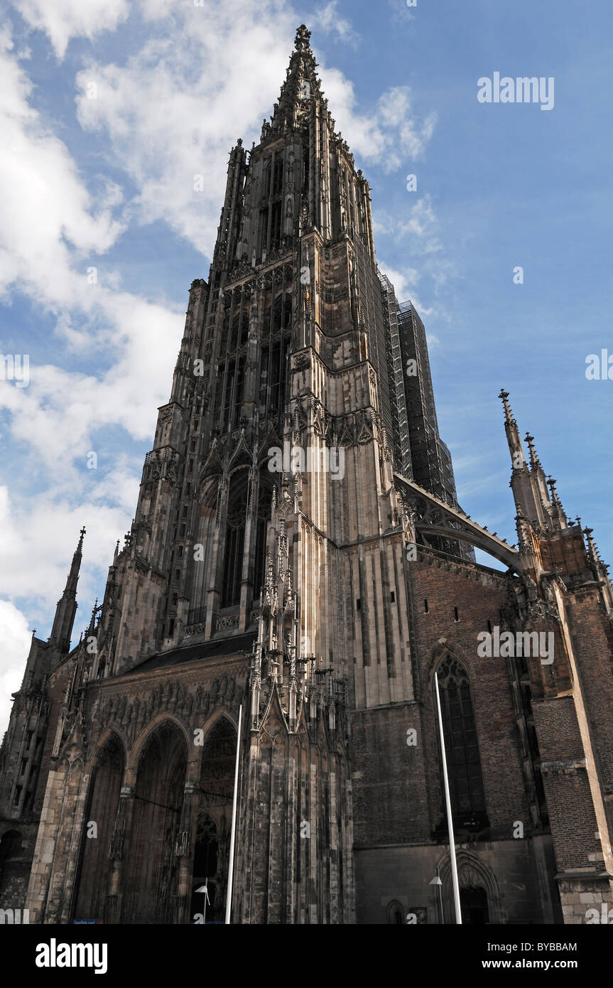 Tallest churches hi-res stock photography and images - Alamy