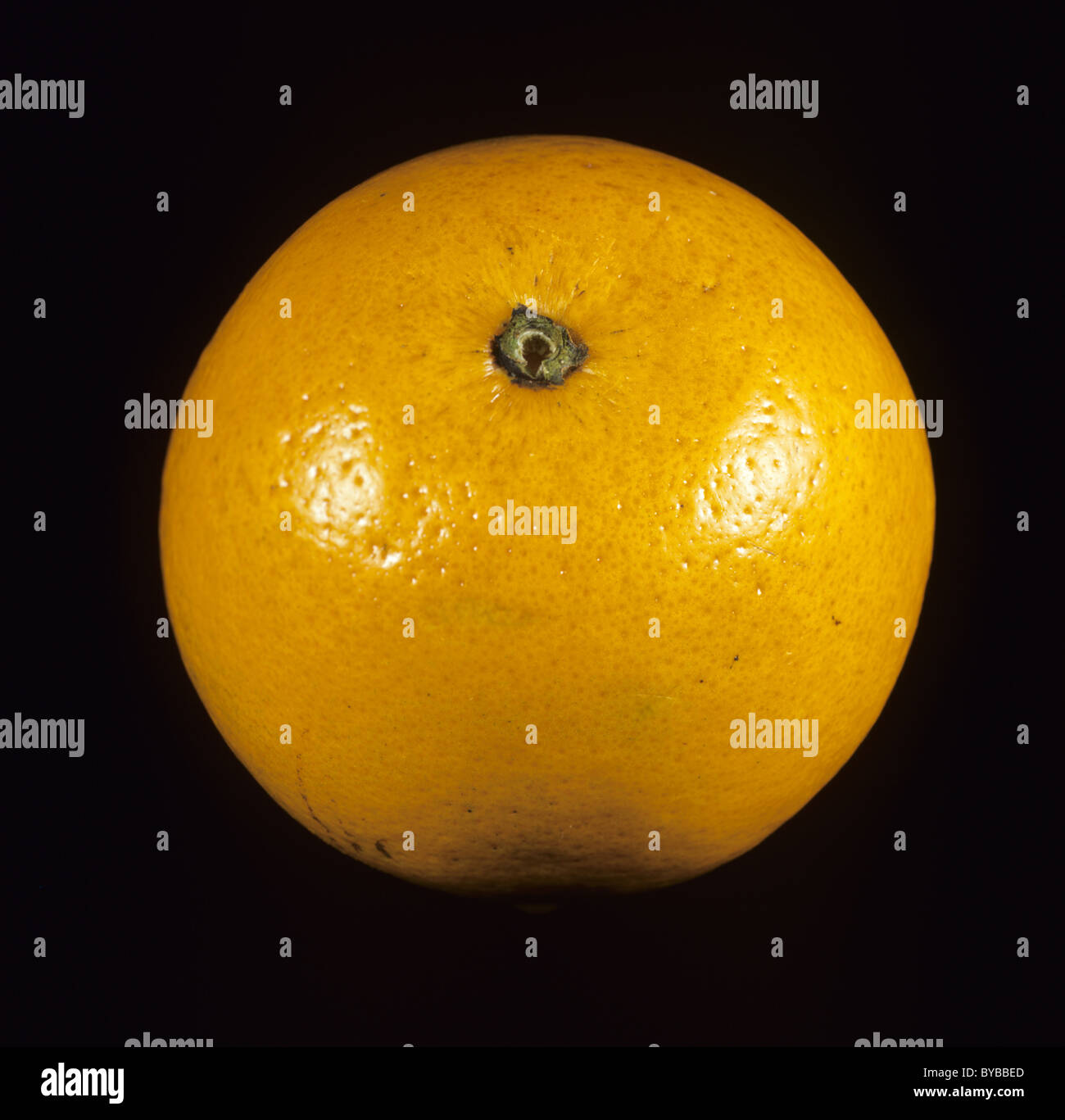 Whole orange fruit variety Parson Brown Stock Photo - Alamy