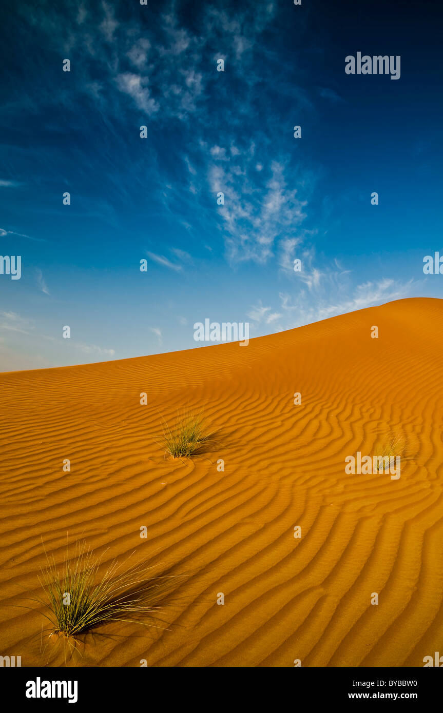 Rub' al Khali desert on the border of Oman and the Emirate of Dubai ...
